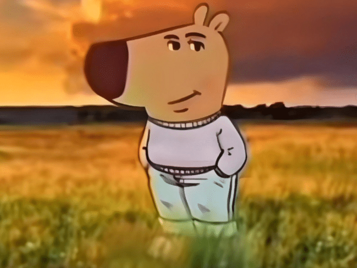 Los memes más virales de 2024 | Diario El Norte - San Nicolás