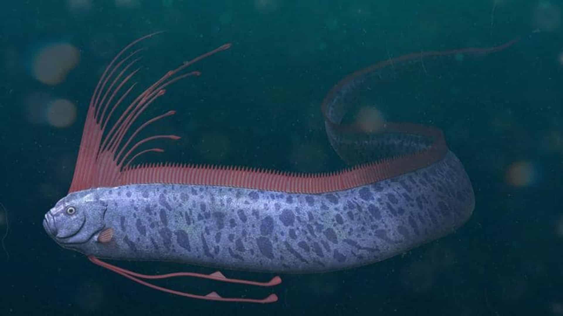 Apareció otro extraño pez, asociado a catástrofes naturales