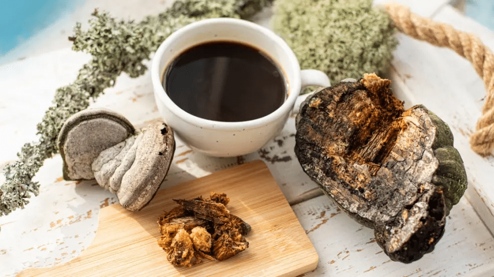 Café de hongos: la alternativa al café tradicional que promete ...