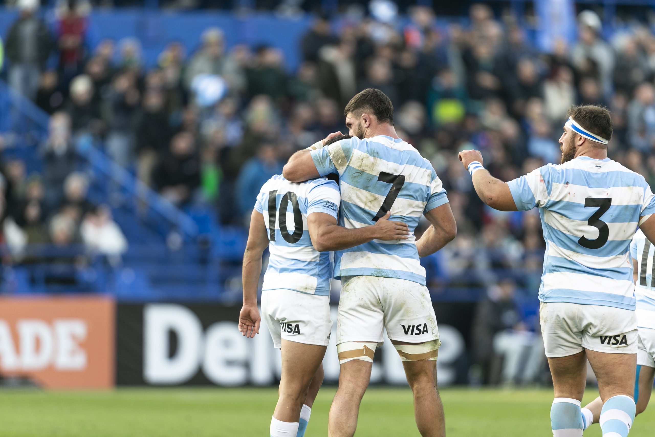 Los Pumas ya tienen horario: así será el camino argentino en el Rugby ...