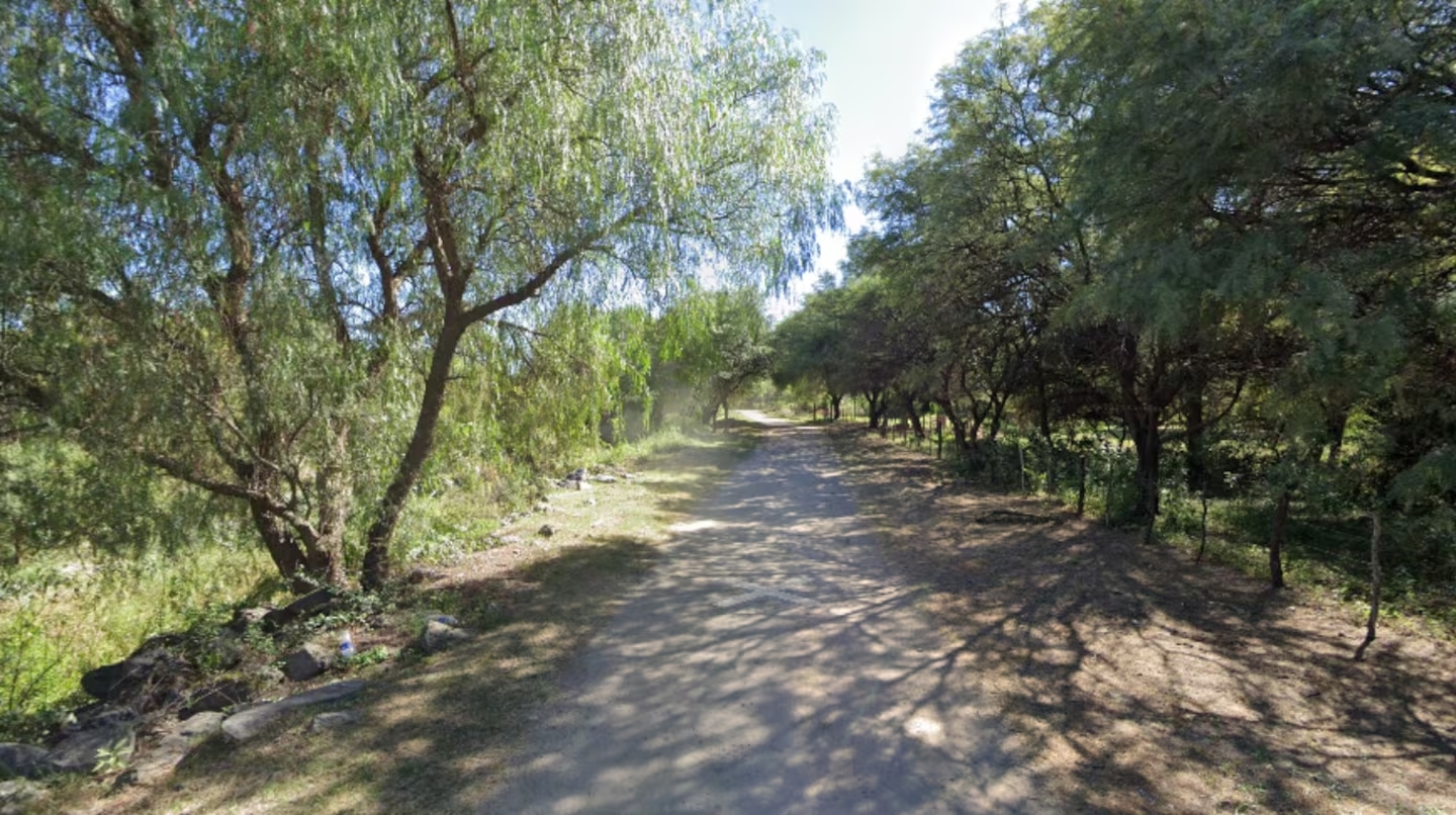 Córdoba: un jubilado murió aplastado tras intentar sacar un enjambre de ...